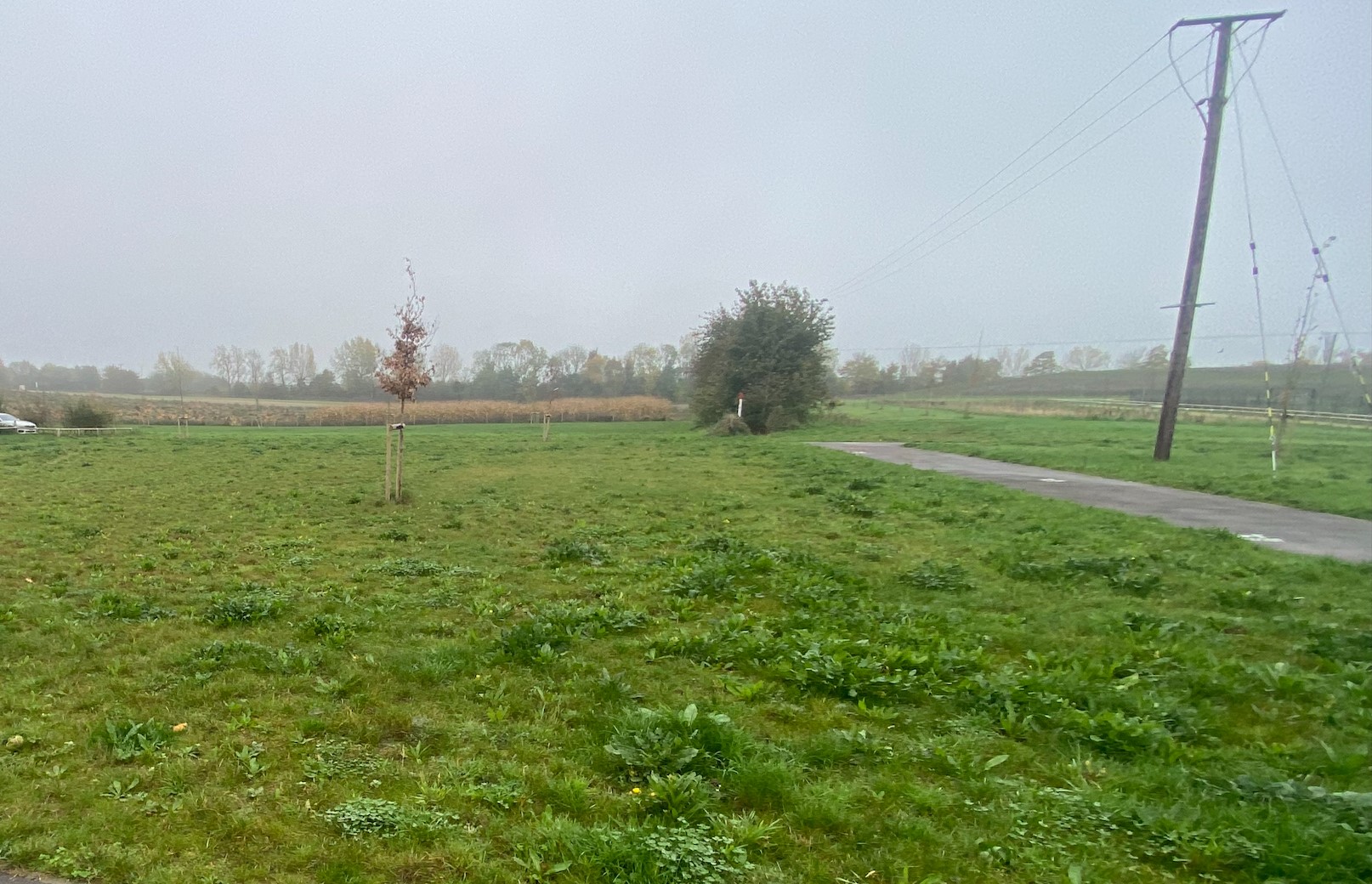 Faversham Town Council Secures Land Transfer at Perry Court: A Boost ...