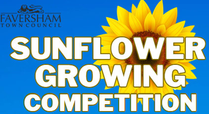 🌻 Faversham Sunflower Growing Competition Launches on April 1st 🌻 ...
